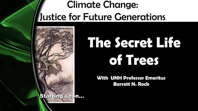 The Secret Life of Trees