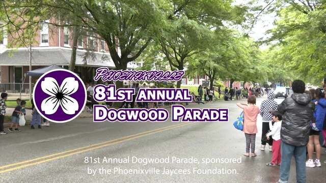 Dogwood Parade 2024